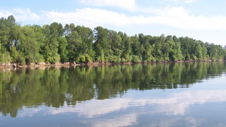 Great Ambition, second year