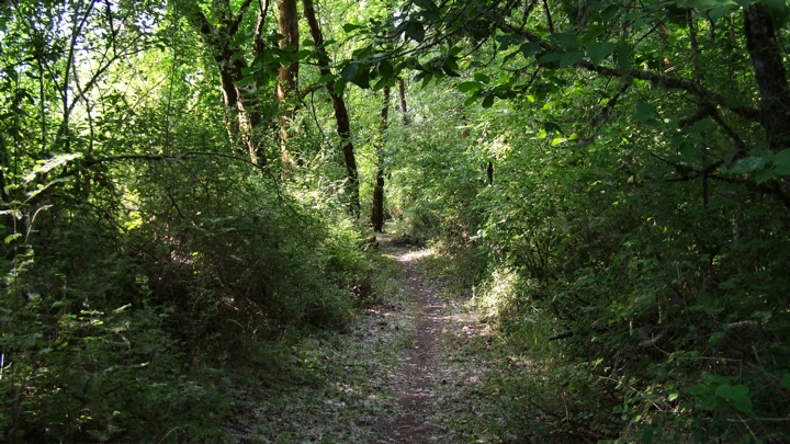 Great Ambition, second year